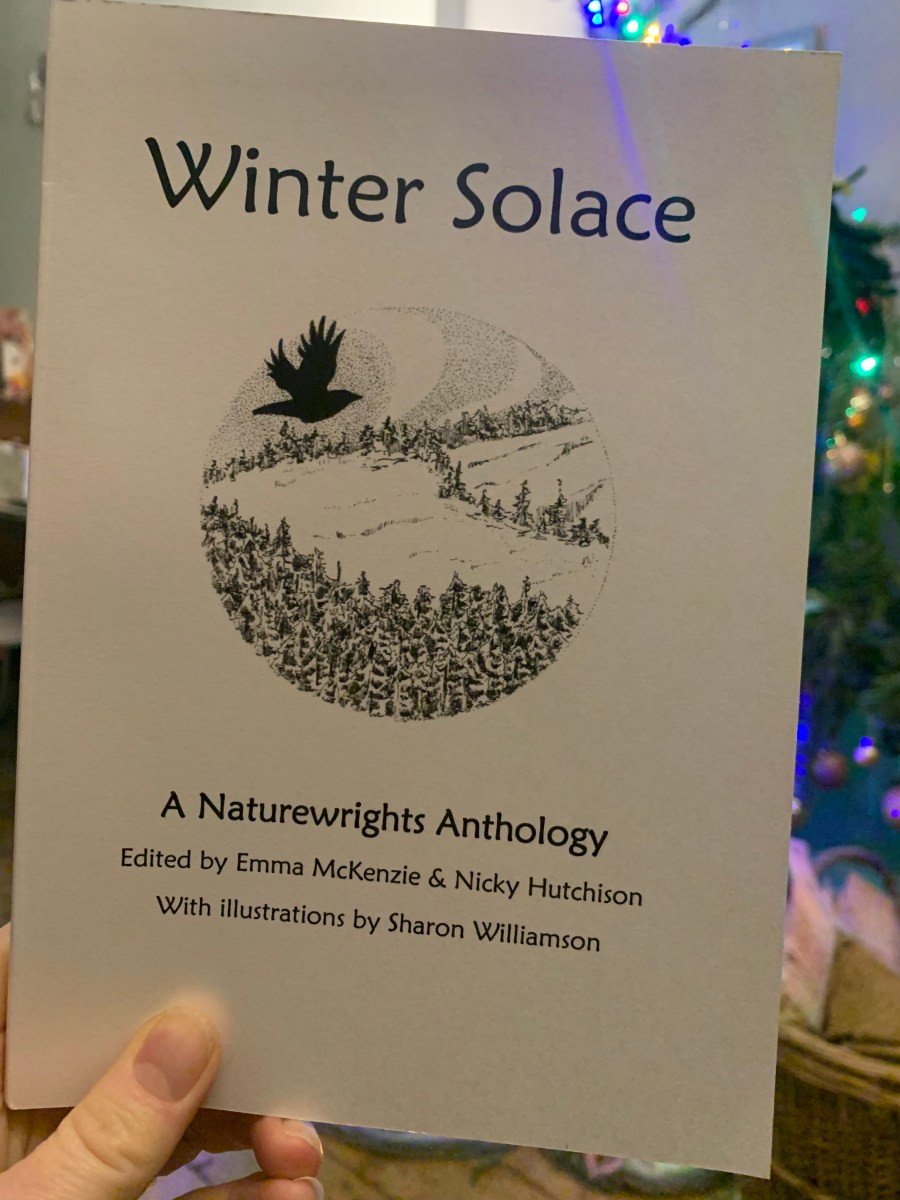 Winter Solace – Adventures from Base Camp